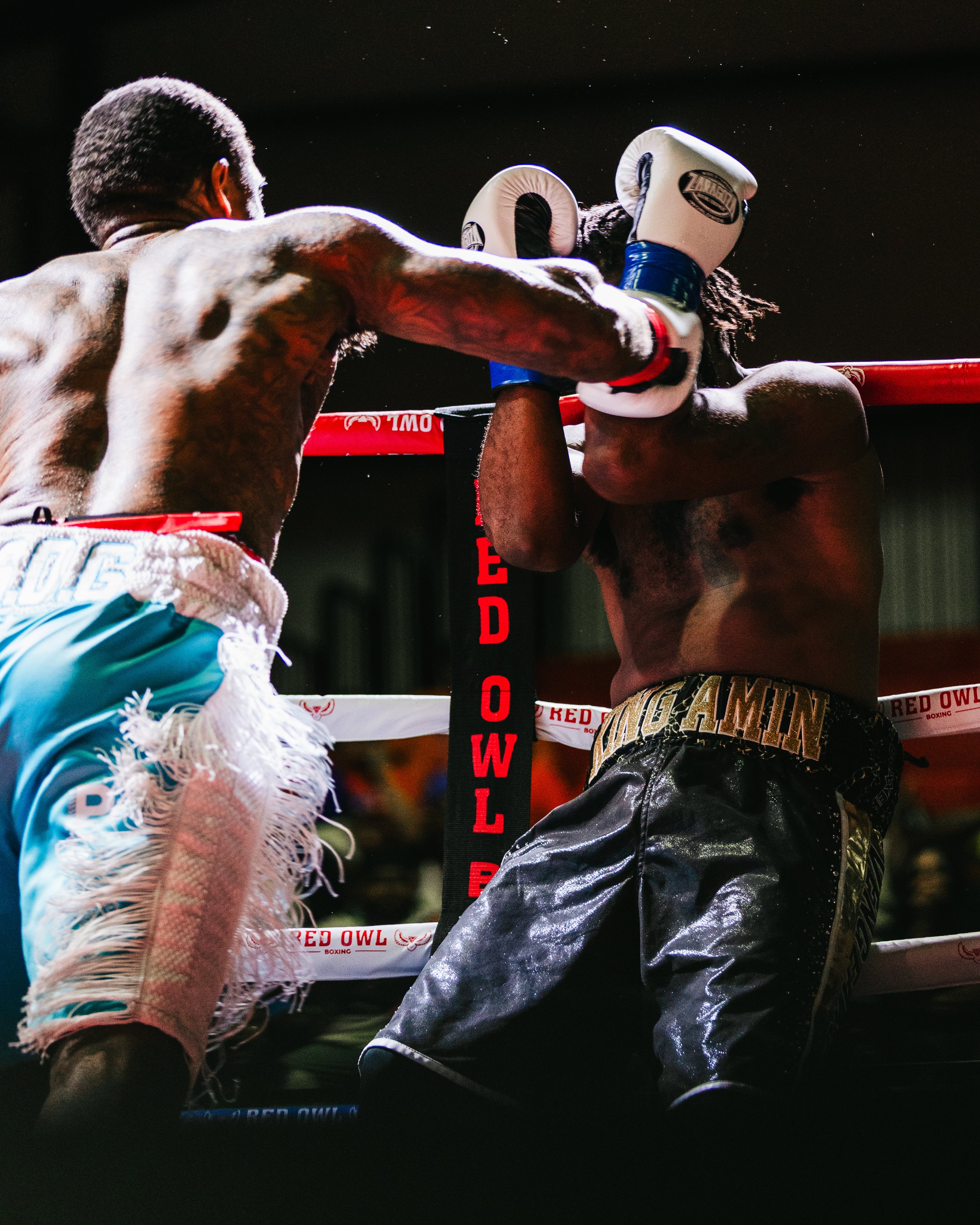 MERCHANDISE – Red Owl Boxing