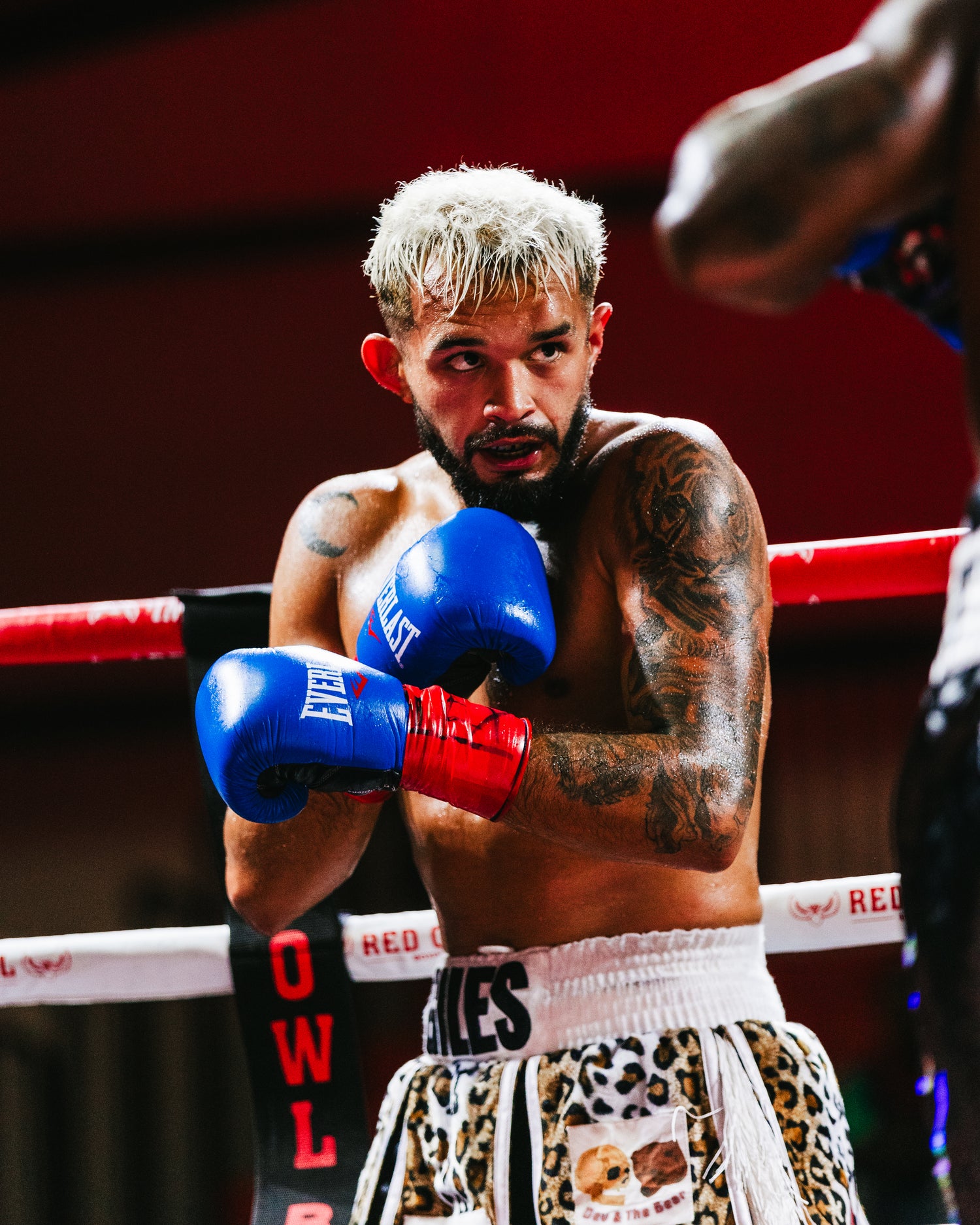 HOODIES – Red Owl Boxing