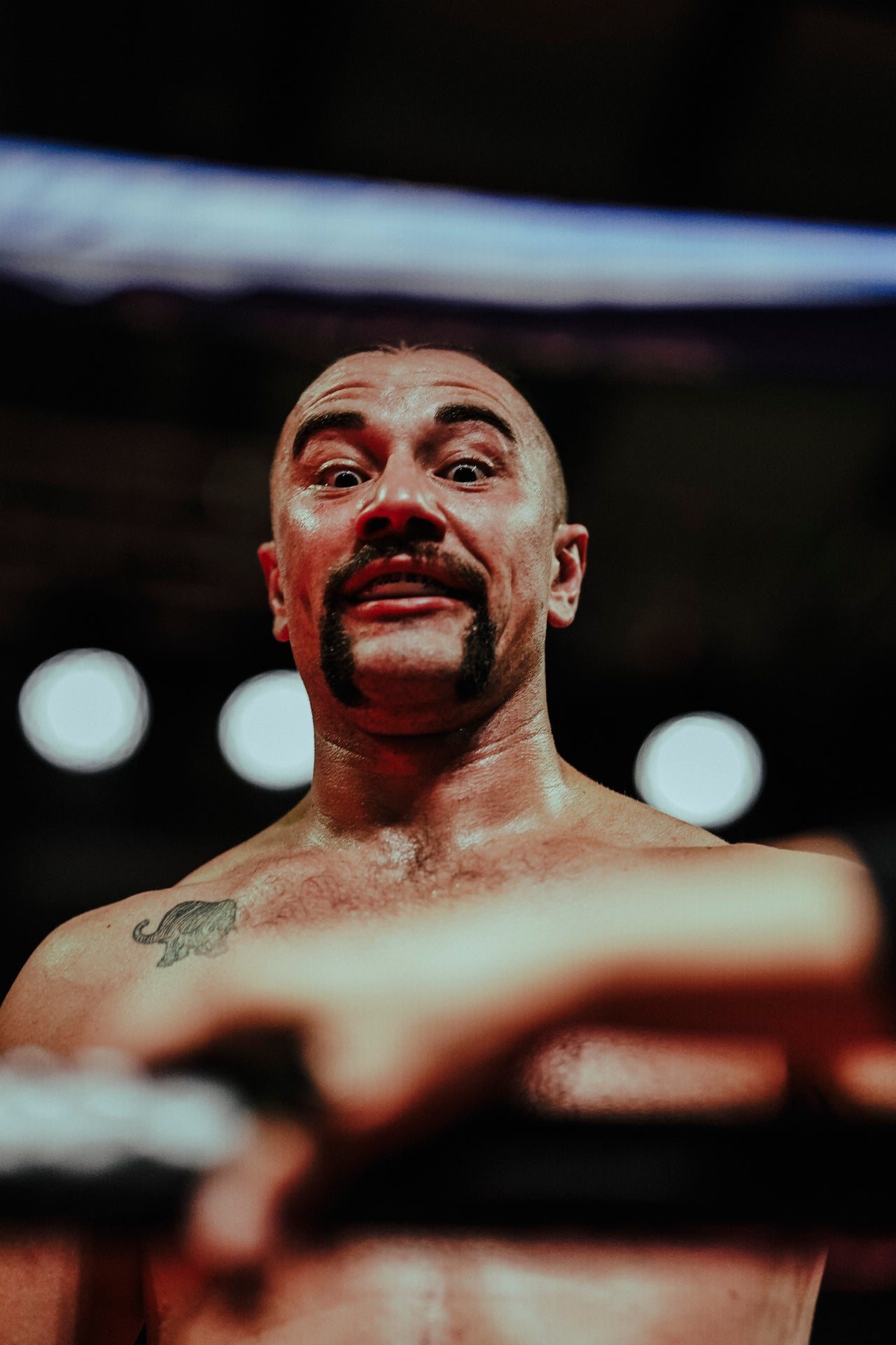 BOXFEST IX – Red Owl Boxing