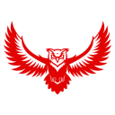 BOXFEST X – Red Owl Boxing