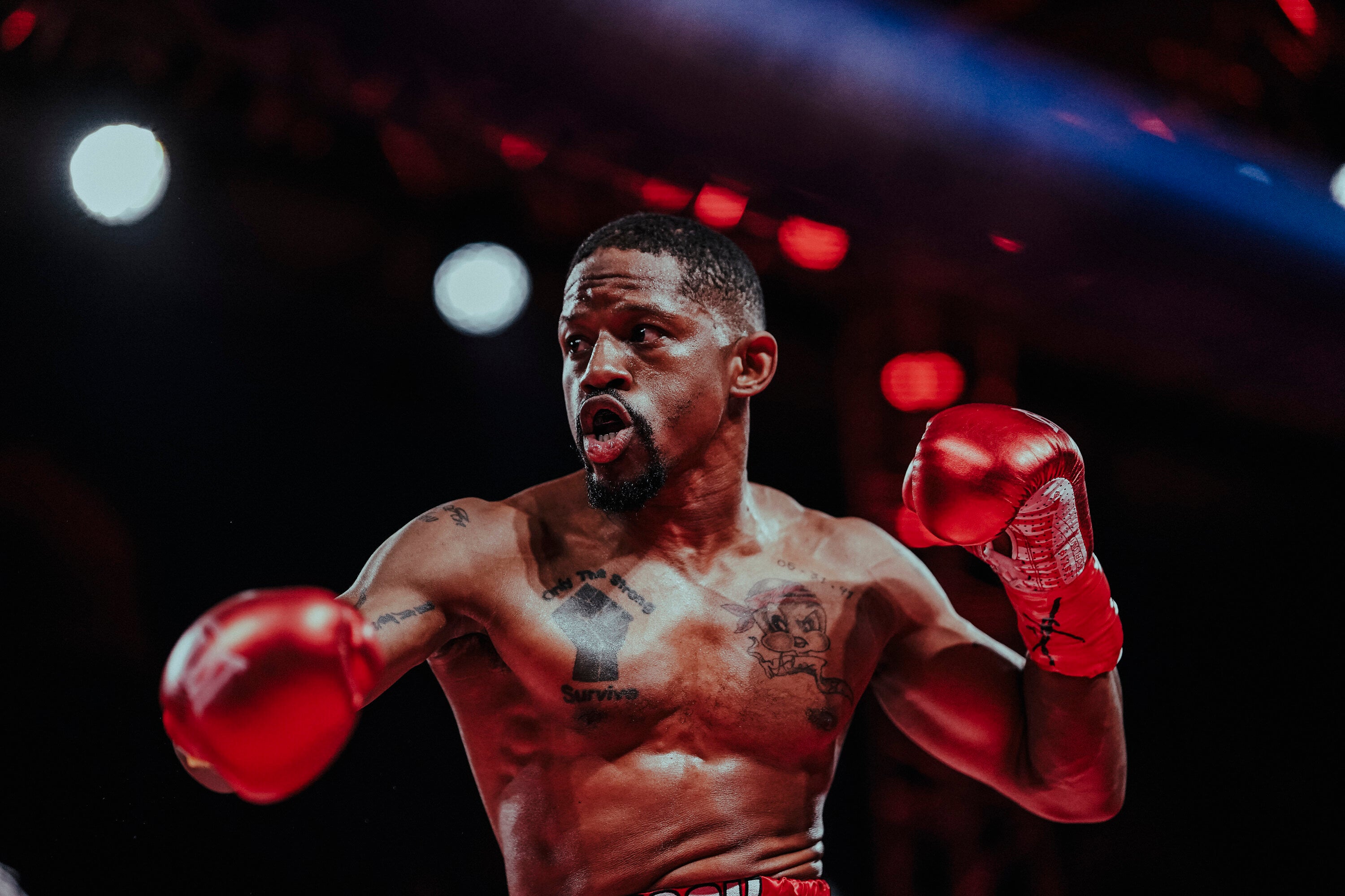 UPCOMING EVENTS – Red Owl Boxing