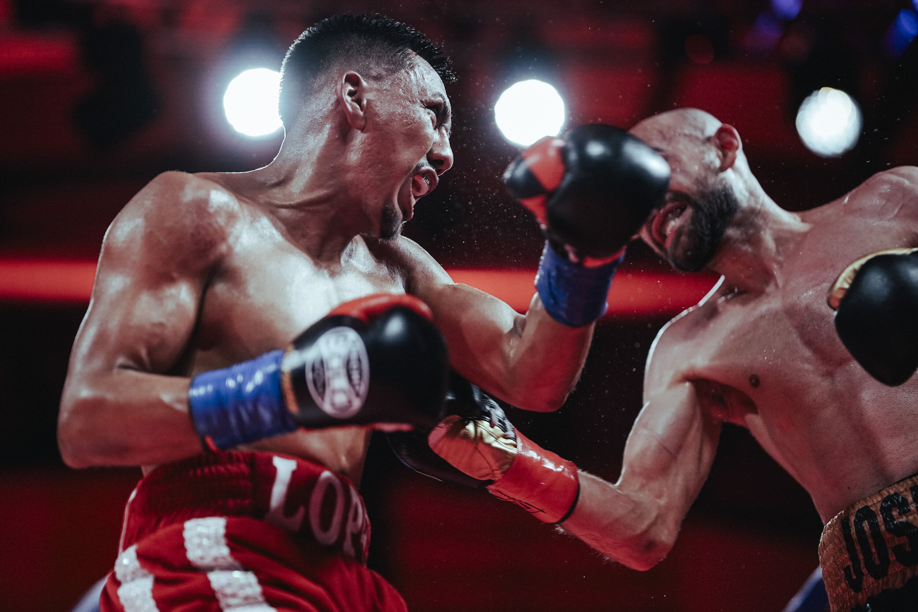 Red Owl Boxing Snapback Hat